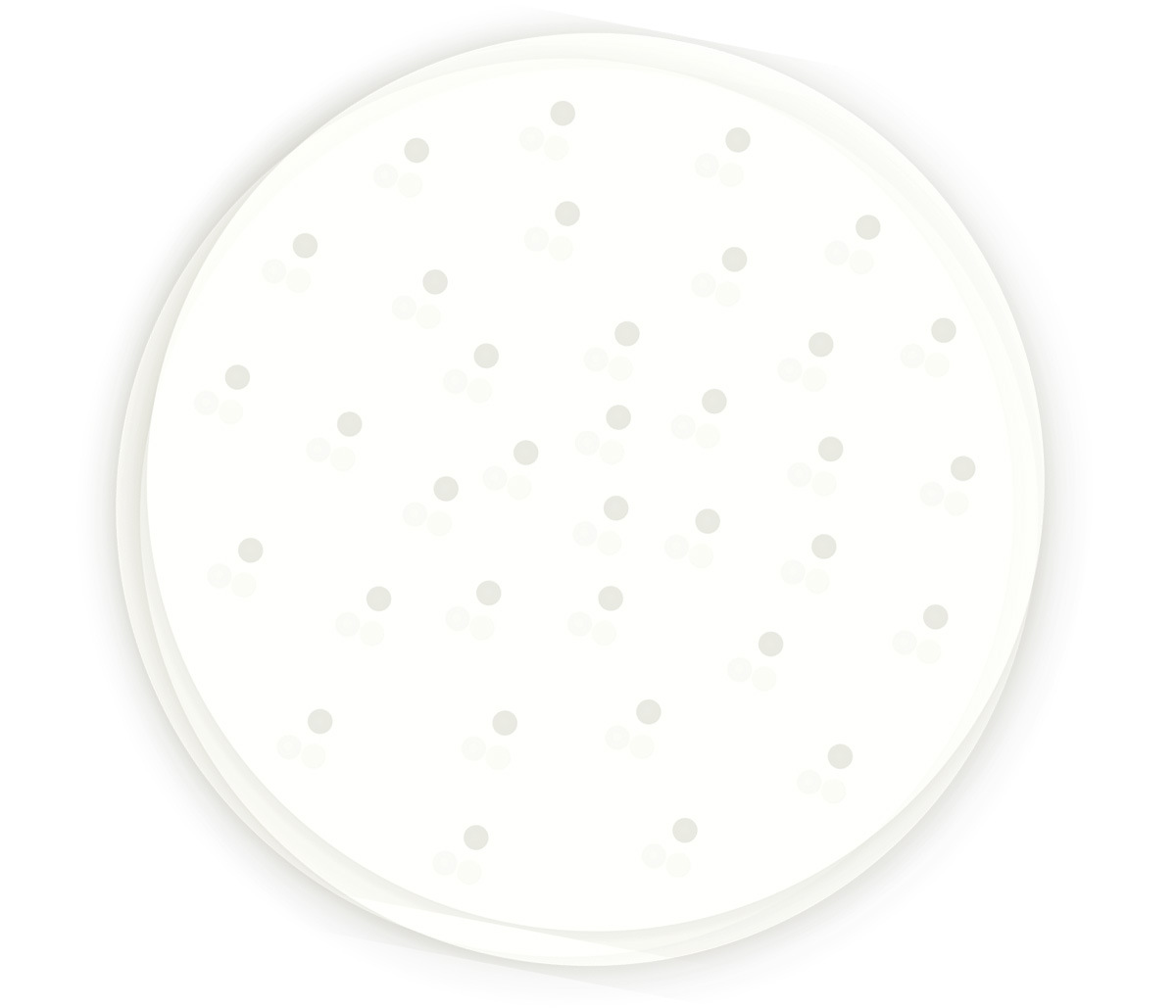 DJ1005Ø 16" KW Dim Sum Paper With Holes - Kwong Wah Paper Product Co Ltd